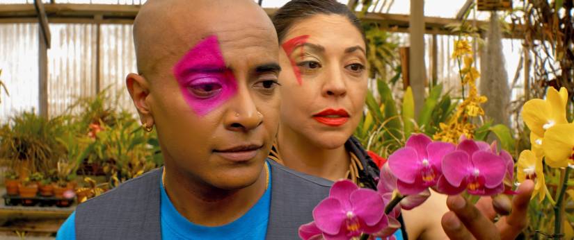 Best Movies About Transgender Characters, Ranked