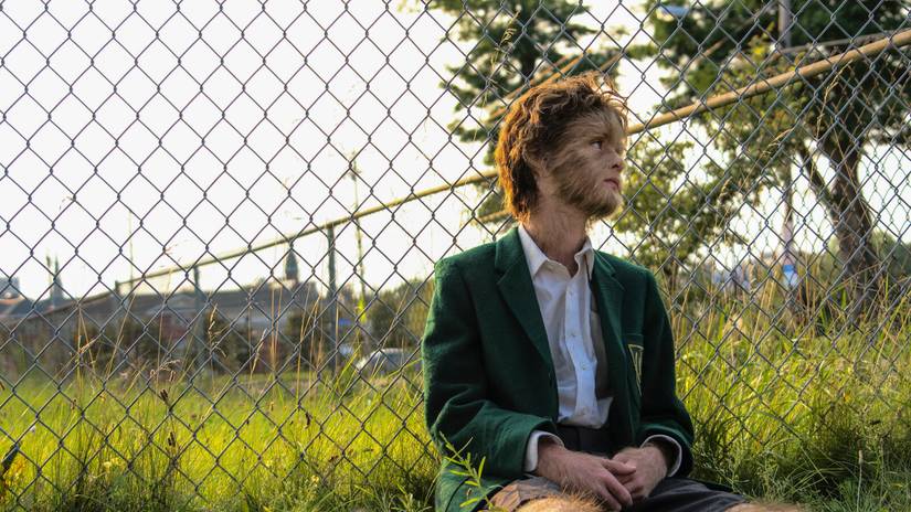 Best Movies About Transgender Characters, Ranked