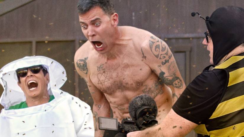 Jackass Stars Share Details of Show's Original Pitch to HBO: 'They Were ...