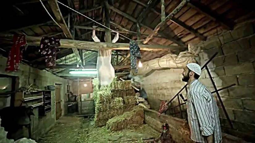 Here Are Some Amazing Middle Eastern Horror Movies