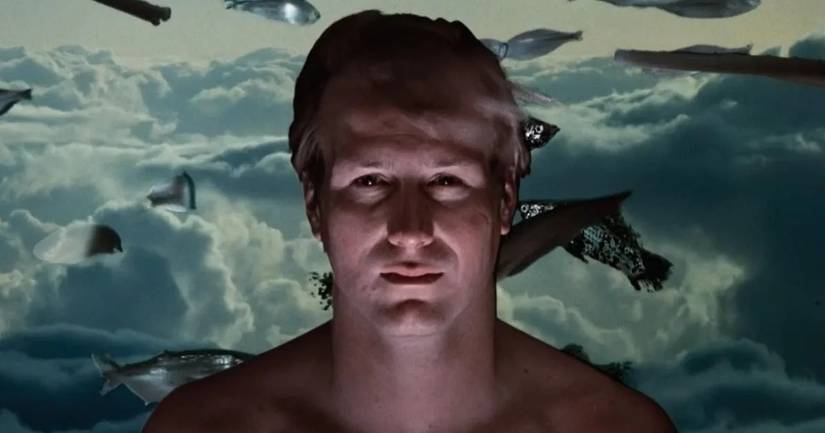 The Most Confusing Horror Movies of All Time, Ranked