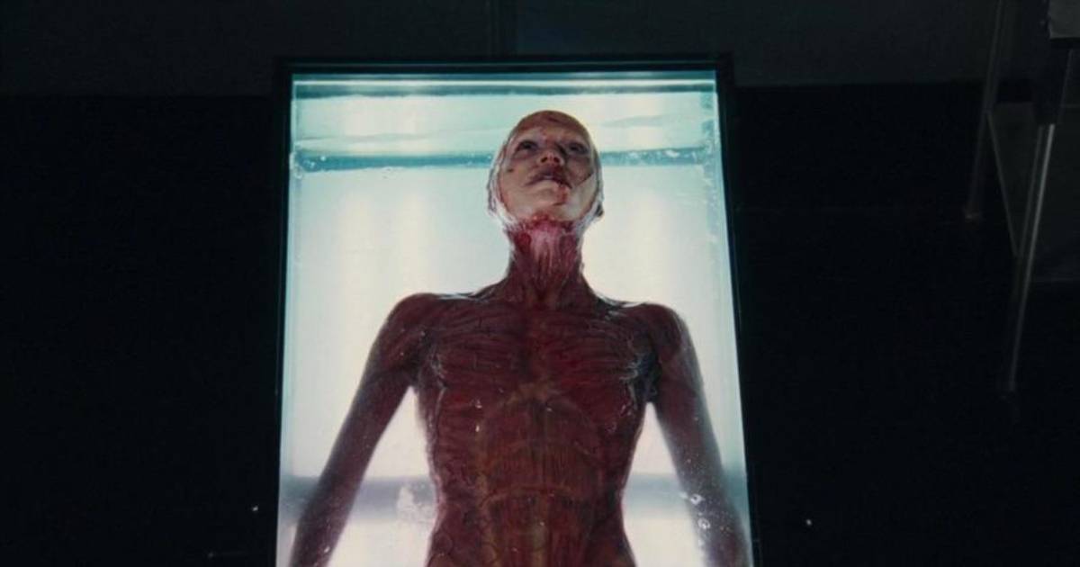 New French Extremity: The Best Movies From the Bloody, Scary Movement