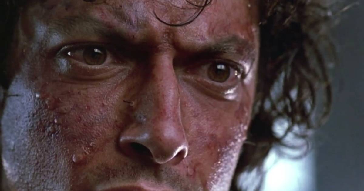 Best Body Horror Films of the '80s, Ranked