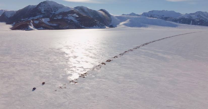 Exclusive: Zero Contact Stars Chris Brochu and Aleks Paunovic Talk ...