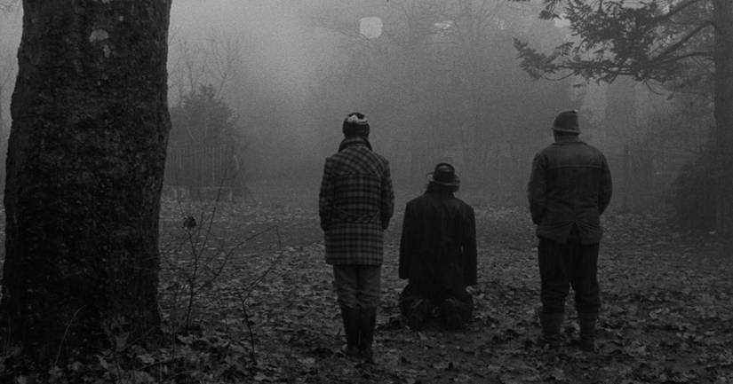 Movies That Actively Alienate the Audience