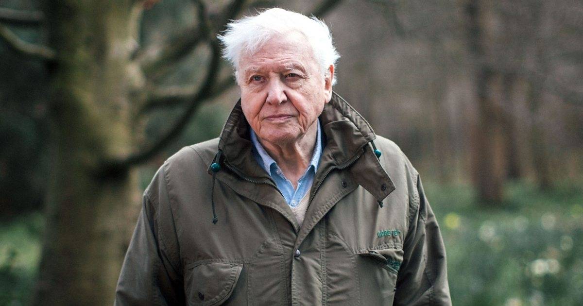 10 Documentaries That Get Real About the Environment