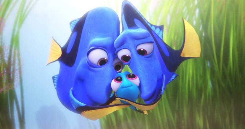 Finding Dory: Questions From Finding Nemo the Film Answered