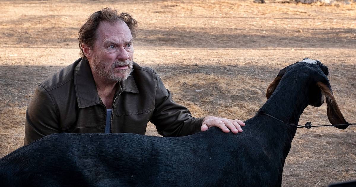 Stephen Root’s Best Performances, Ranked