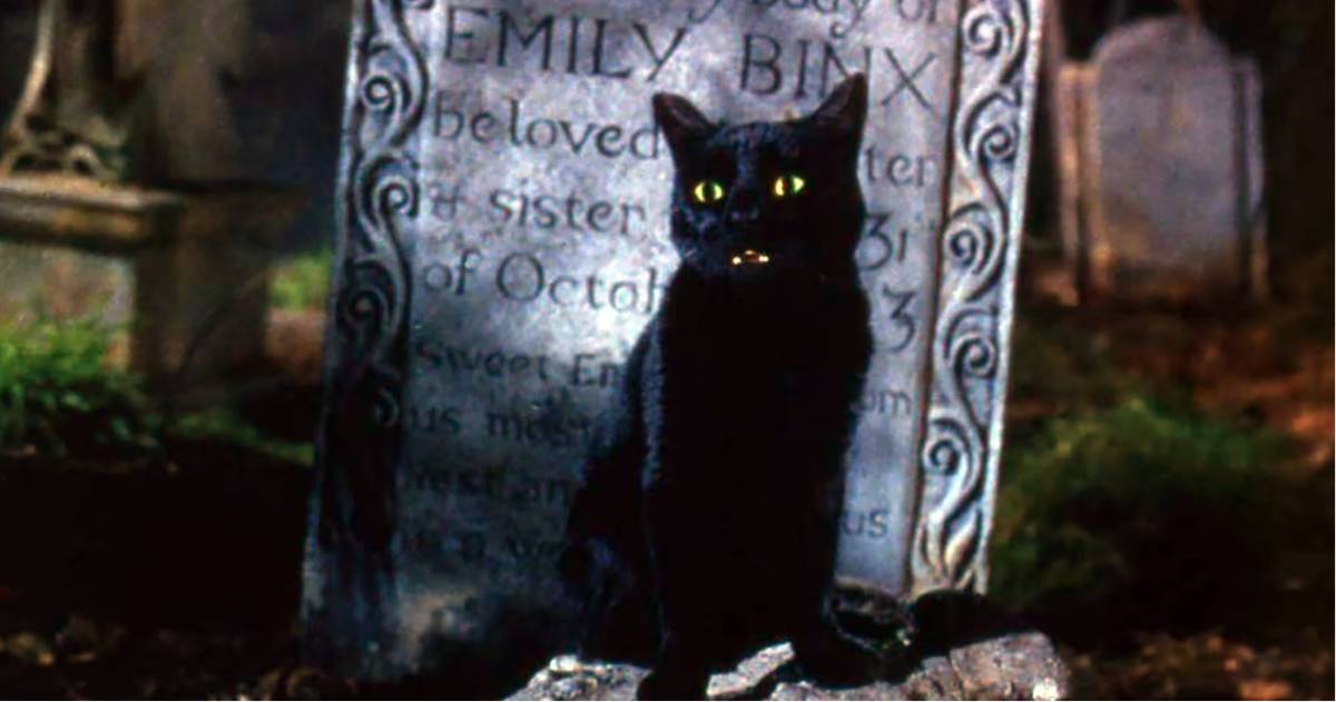 Hocus Pocus 2 Won't Bring Back Thackery Binx Voice Actor Jason Marsden
