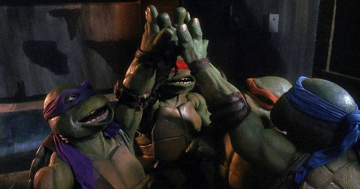 Teenage Mutant Ninja Turtles Creator Doesn't Want Seth Rogan to be ...