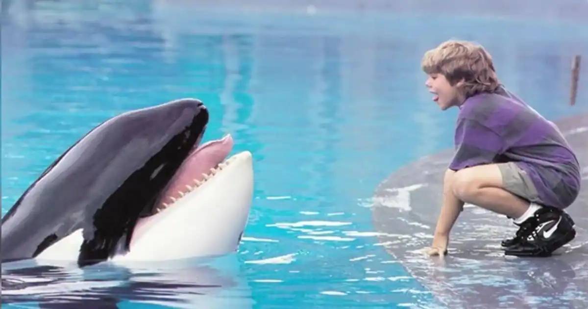 12 Wonderful Animal Movies That Will Touch Your Heart