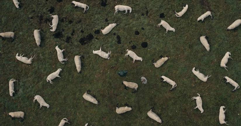 Dark: How the German Netflix Show Uses Death and Determinism to Tell a ...