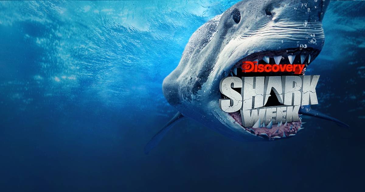 Discovery Channel: A Brief History of Shark Week
