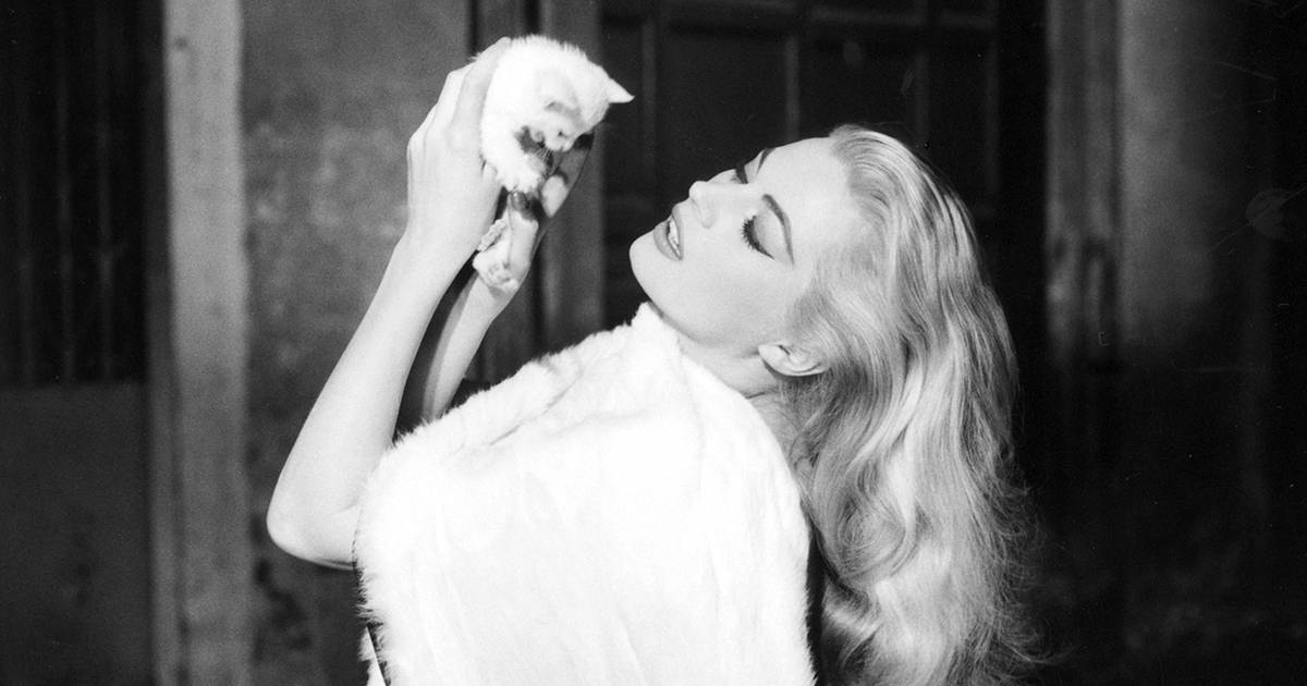 The Best Federico Fellini Films, Ranked