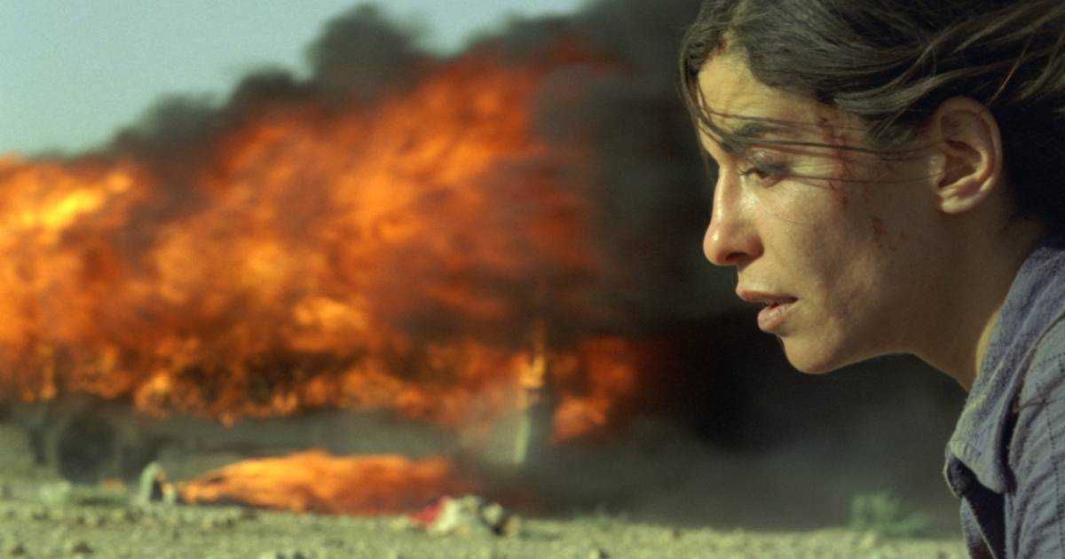 Best French-Canadian Movies of the 2010s, Ranked