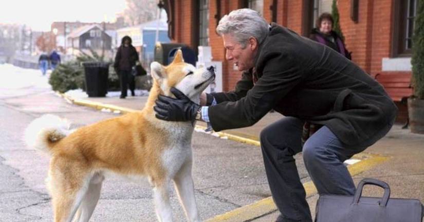 Best Dog Actors in Movies, Ranked