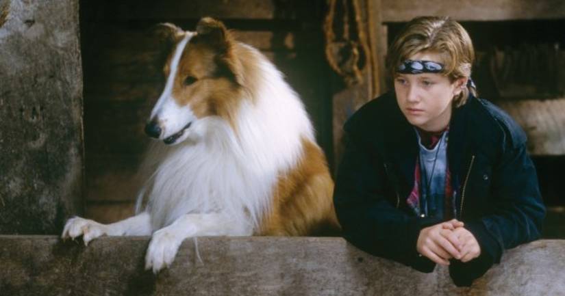 Best Dog Actors in Movies, Ranked