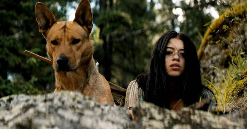 Best Dog Actors in Movies, Ranked