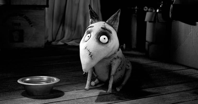 The Most Essential Animated Dog Movies, Ranked