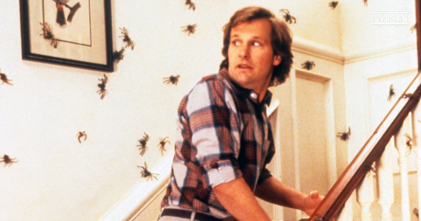 The Best Horror Movies About Killer Bugs, Ranked
