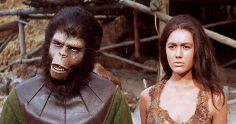 The Best Movies About Killer Apes & Monkeys, Ranked