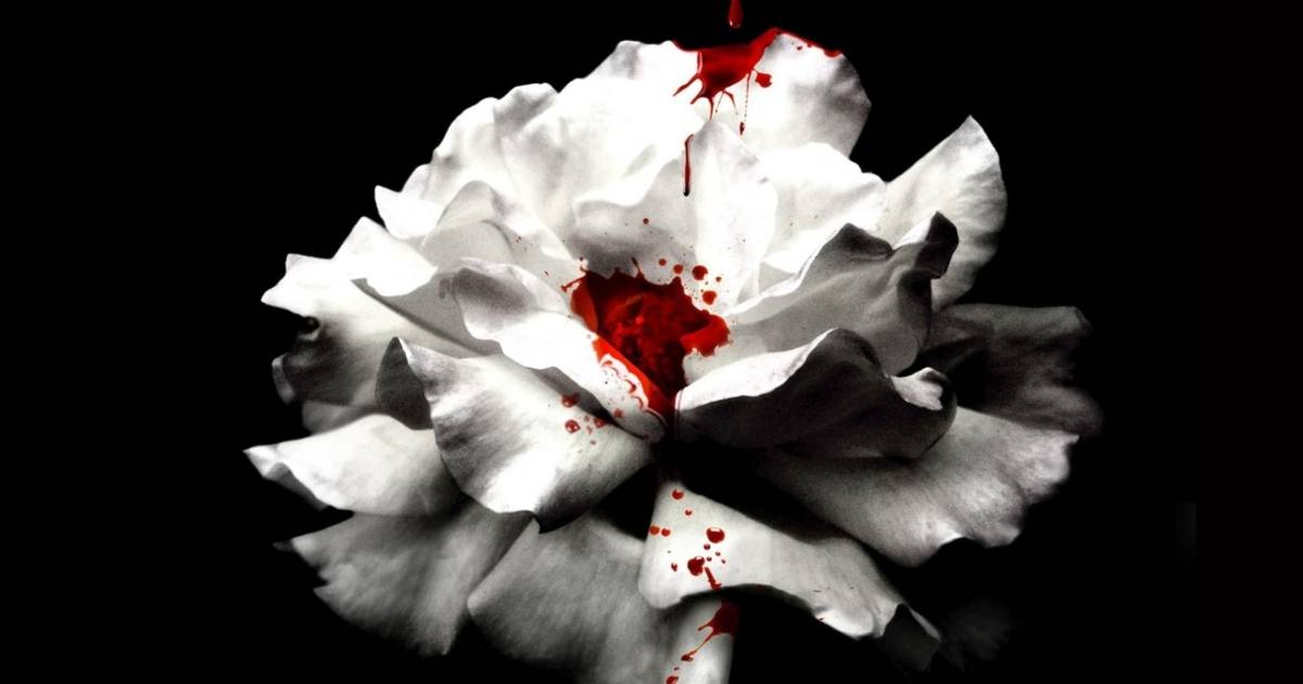 Vampire Adaptations: Which Books Should Be Next?