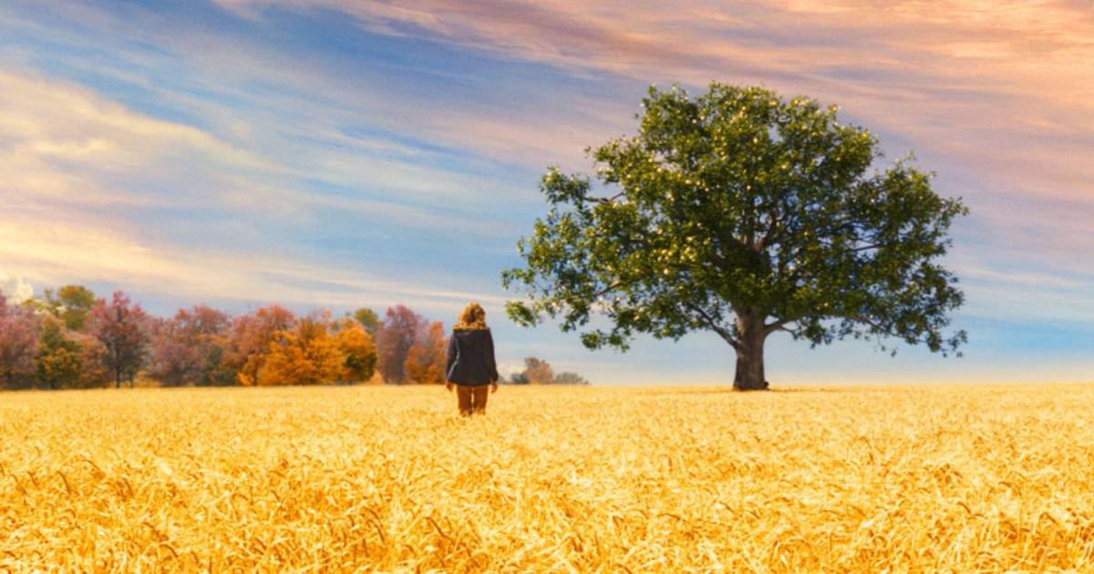 20 Movies That Accurately Portray Grief