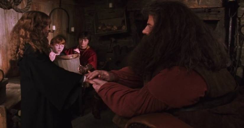 Harry Potter: Hagrid's Best Moments in the Franchise, Ranked
