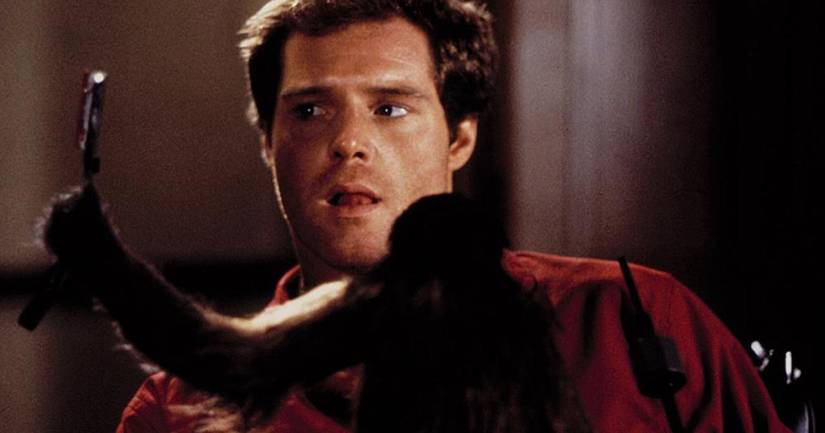 The Best Movies About Killer Apes & Monkeys, Ranked