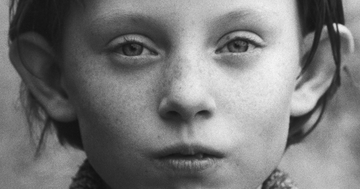 Best Béla Tarr Films, Ranked