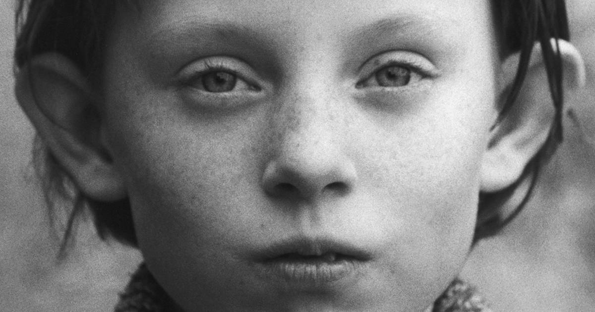 Best Béla Tarr Films, Ranked