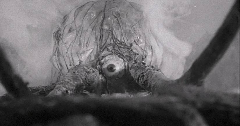 The Silliest Looking Monsters in Horror Movies, Ranked