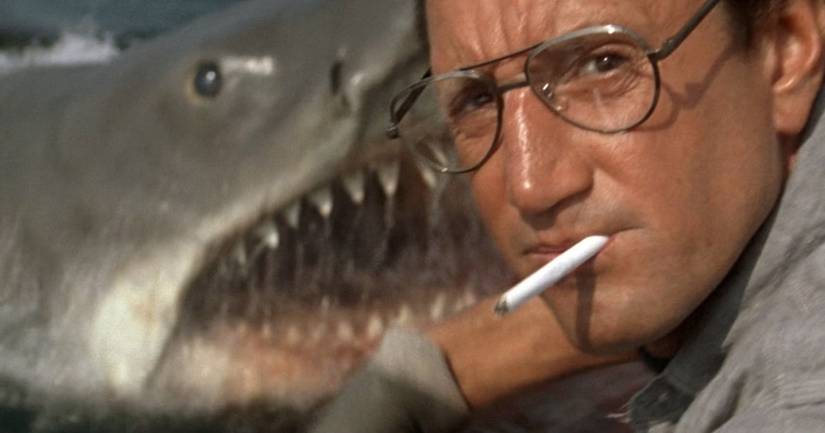 Jaws: The 10 Biggest Differences Between the Horror Movie and Peter ...