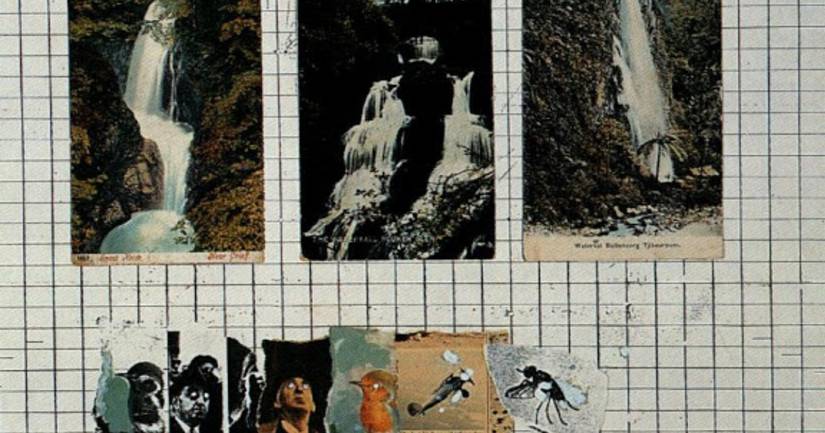 Best Peter Greenaway Films, Ranked
