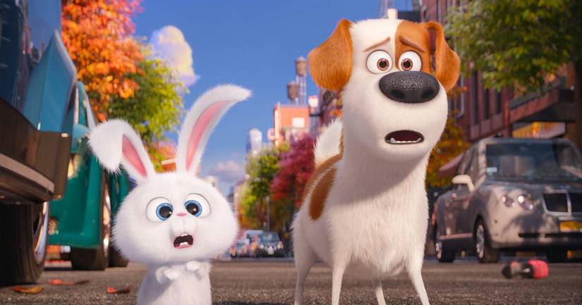 Best Kevin Hart Movies, Ranked