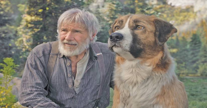 The Best Dog Movies of All Time