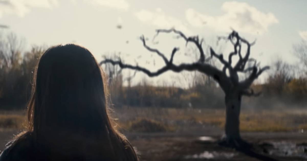 Blood: Plot, Cast, Release Date, and Everything Else We Know