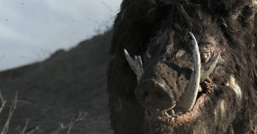 When Animals Attack: The Best Killer Creatures in the Movies