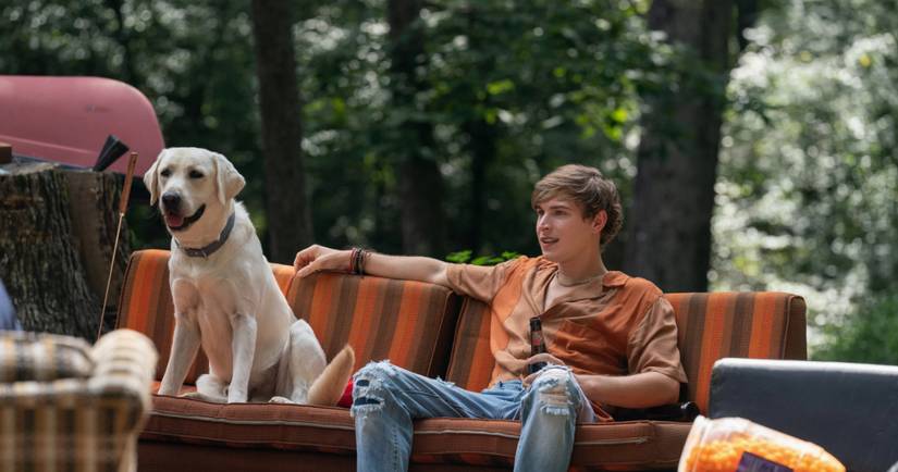 Netflix's Dog Gone: Plot, Cast, Release Date and Everything Else We Know