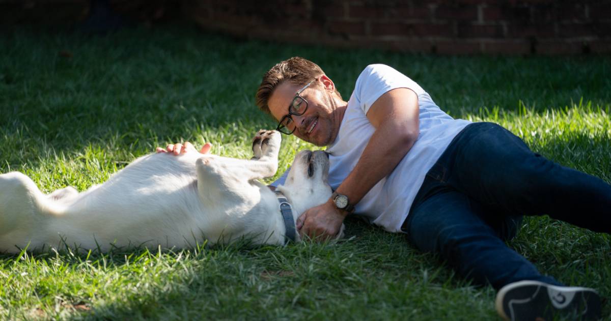 Netflix's Dog Gone: Plot, Cast, Release Date and Everything Else We Know