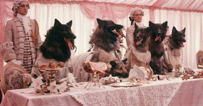 Underrated Horror Movies of the 1980s, Ranked