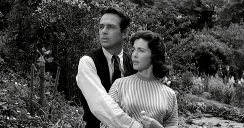 Underrated Horror Movies of the 1950s, Ranked