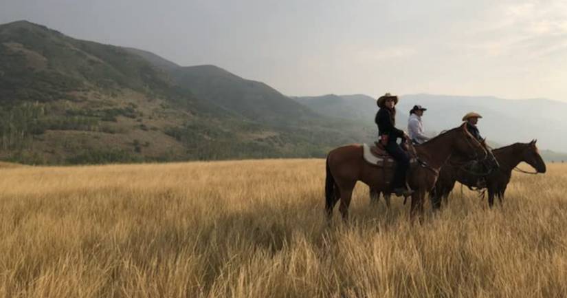 Matthew McConaughey Leads Yellowstone Spinoff With Fresh Cast & Characters