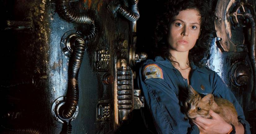 The Best Sci-Fi Movies According to Rotten Tomatoes