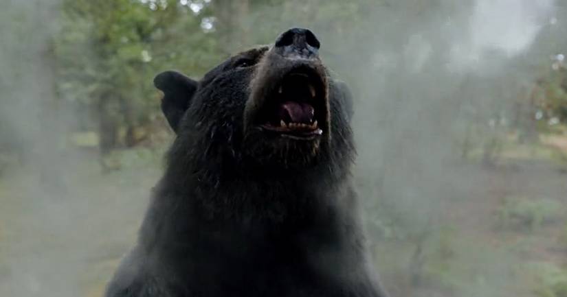 Cocaine Shark Trailer Lets the Bear Know There's a New Drug-Fueled ...