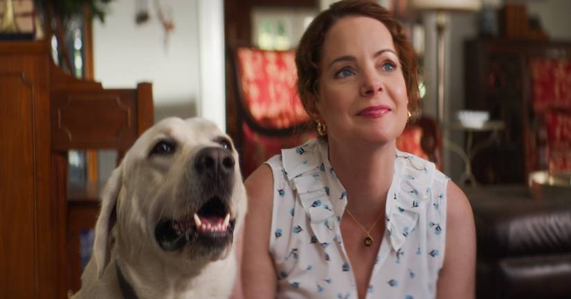 Dog Gone Review: The Creative Collar Is Loose, But There’s Still Plenty ...