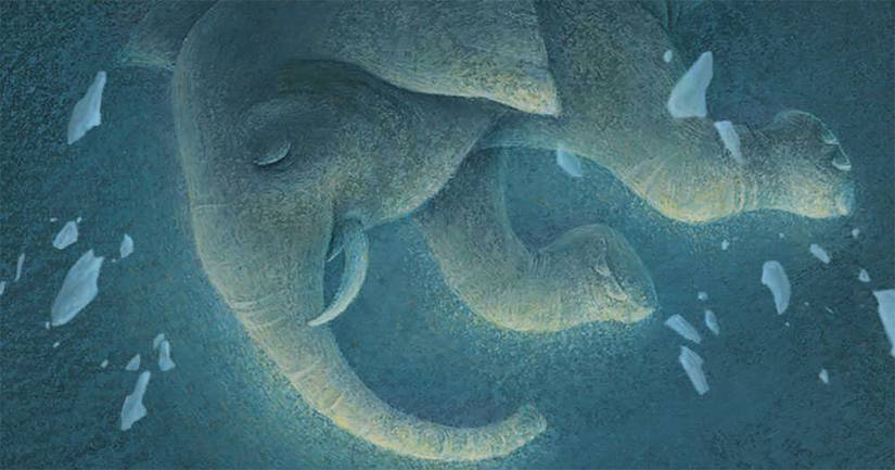 Exclusive: The Magician's Elephant Director, Producer, and Novelist ...