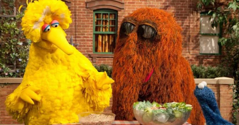 The 16 Best Sesame Street Characters, Ranked