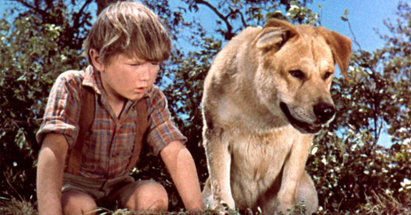 Best Western Movies of the 1950s, Ranked
