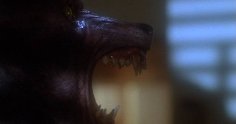 Why Joe Dante’s The Howling is the Best Werewolf Movie of the ‘80s